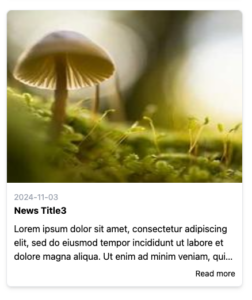 How to Automatically Add Ellipsis Using JavaScript and CSS | PiPiSTACK