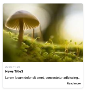 How to Automatically Add Ellipsis Using JavaScript and CSS | PiPiSTACK